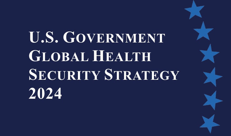 Unpacking the Global Health Security Strategy: Surveillance ...